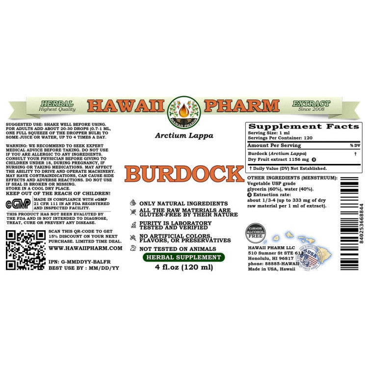 Burdock Dried fruit (Arctium Lappa) – HAWAII PHARM